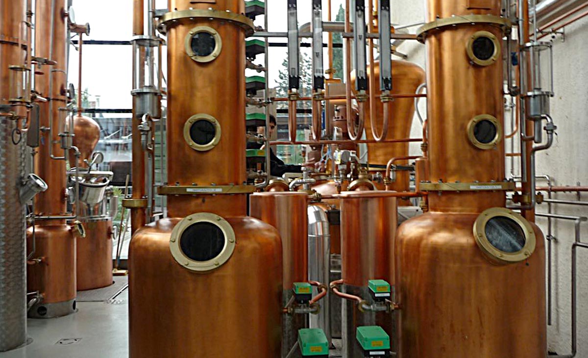 Trester Pressrückstände - Wie entsteht Grappa? Ratgeber