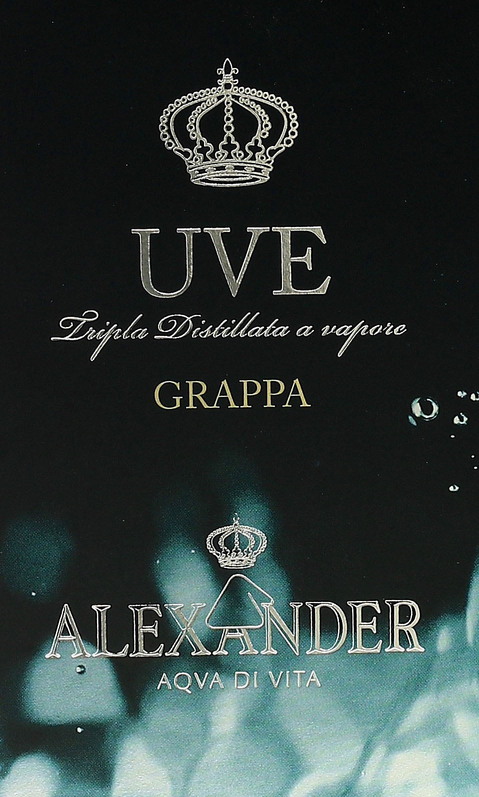 Alexander Grappa di Amarone Platinum im Spirituosen und