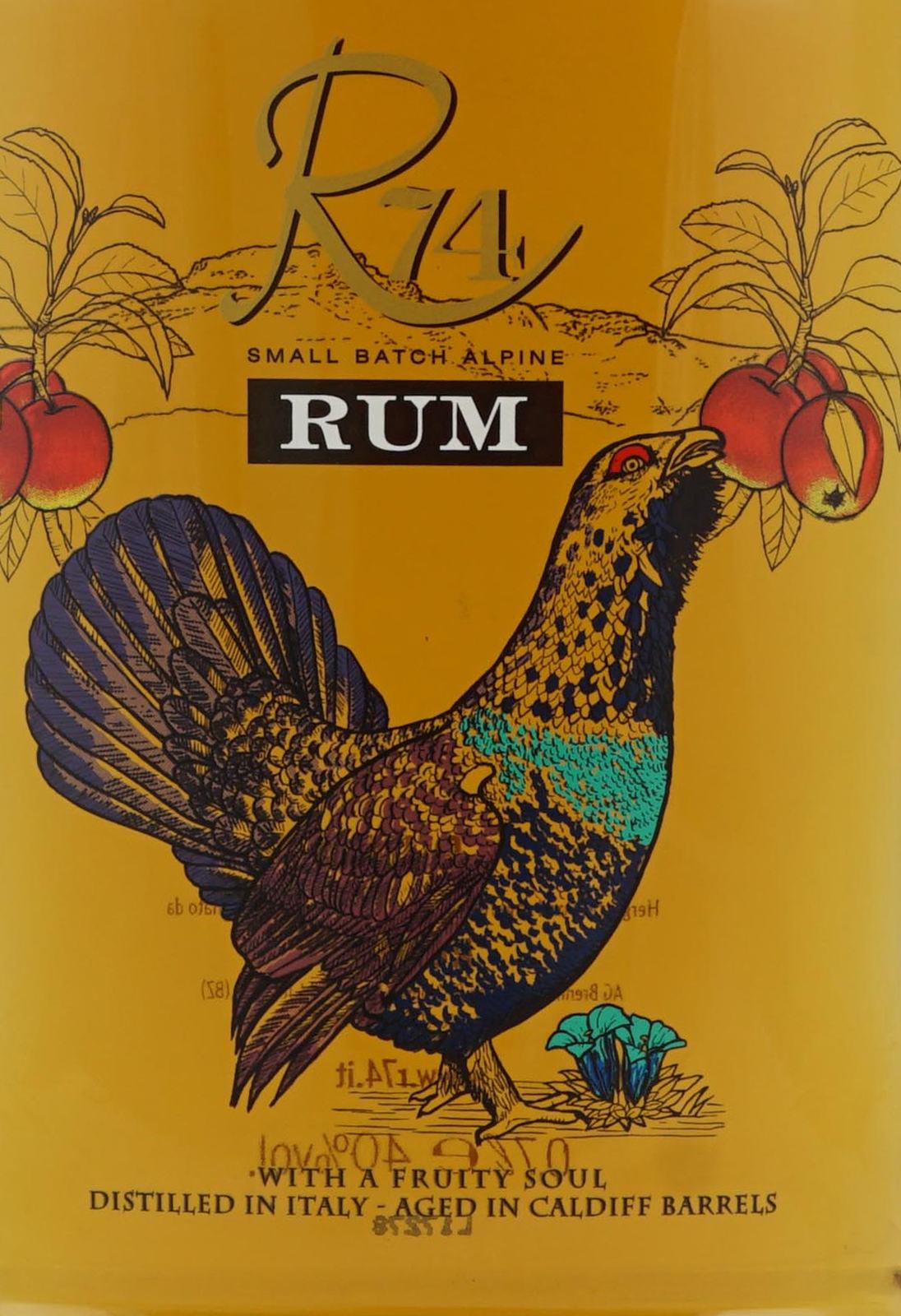 Roner Rum R74 Aged 0,7 Liter 40 % Vol.